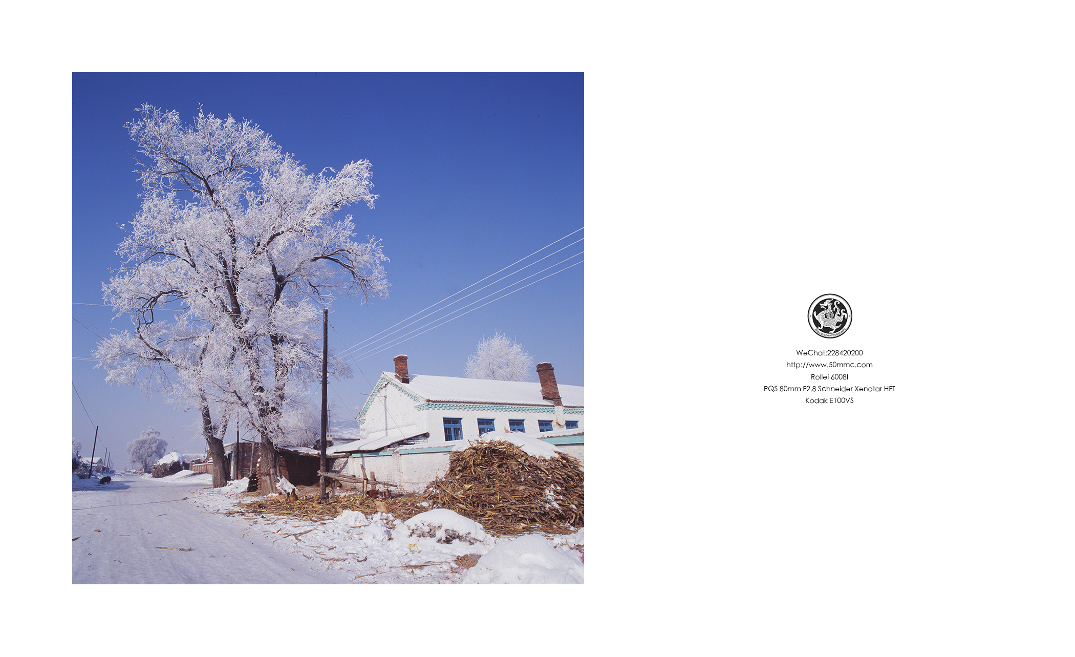 2005-Rime Island in Jilin City - Mr.Zhao photography