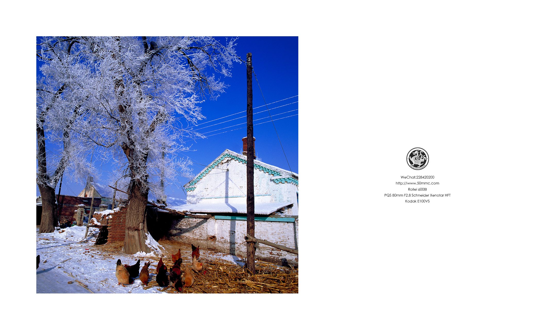 2005-Rime Island in Jilin City - Mr.Zhao photography