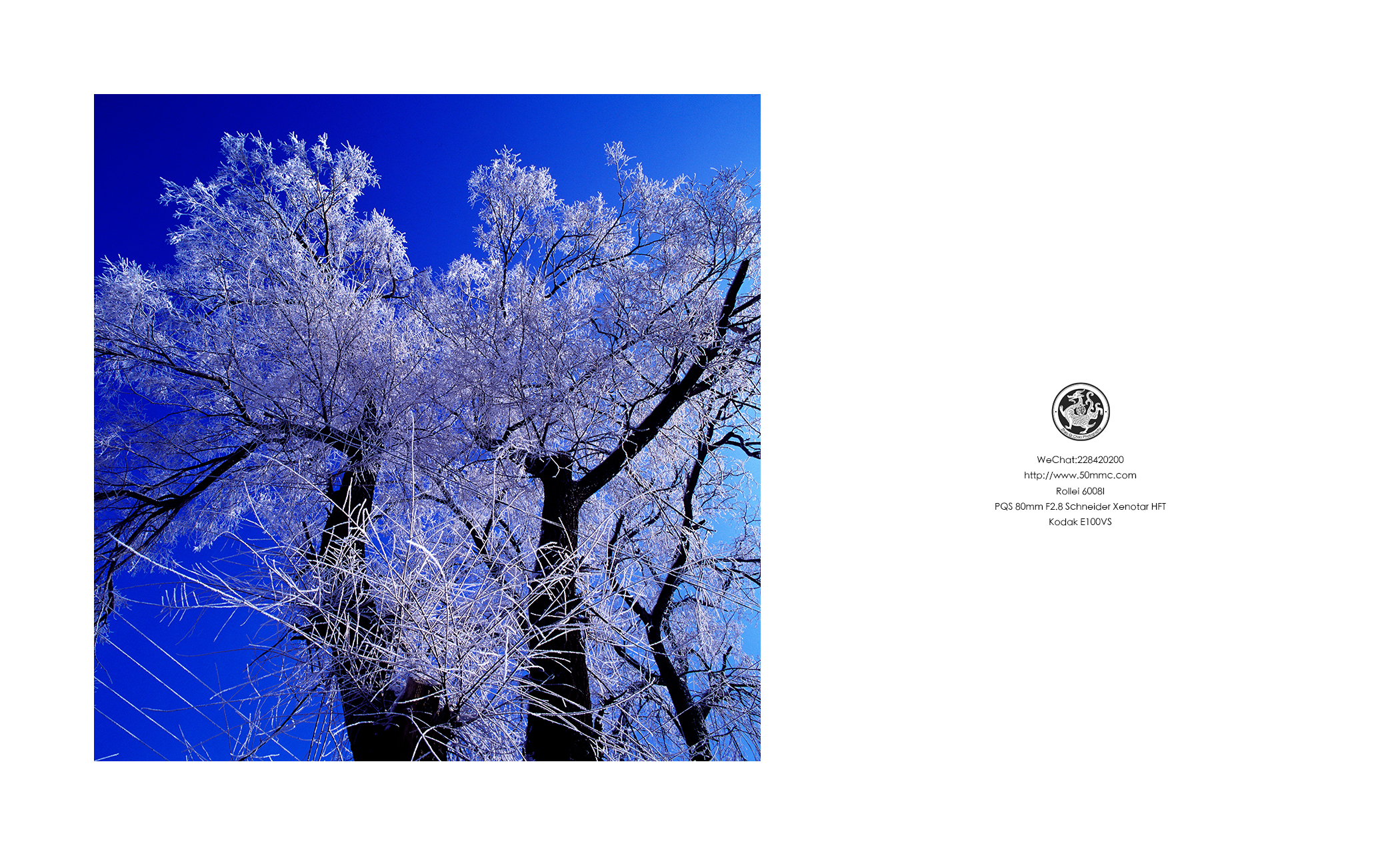 2005-Rime Island in Jilin City - Mr.Zhao photography