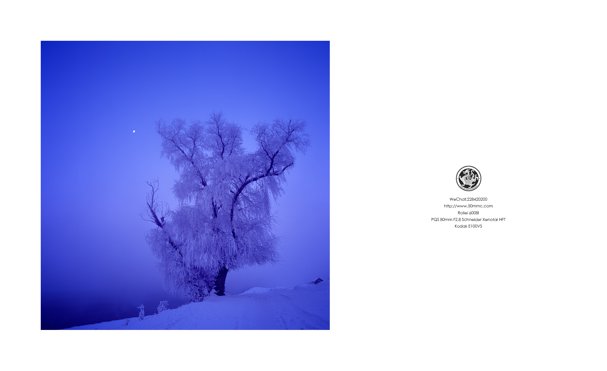 2005-Rime Island in Jilin City - Mr.Zhao photography